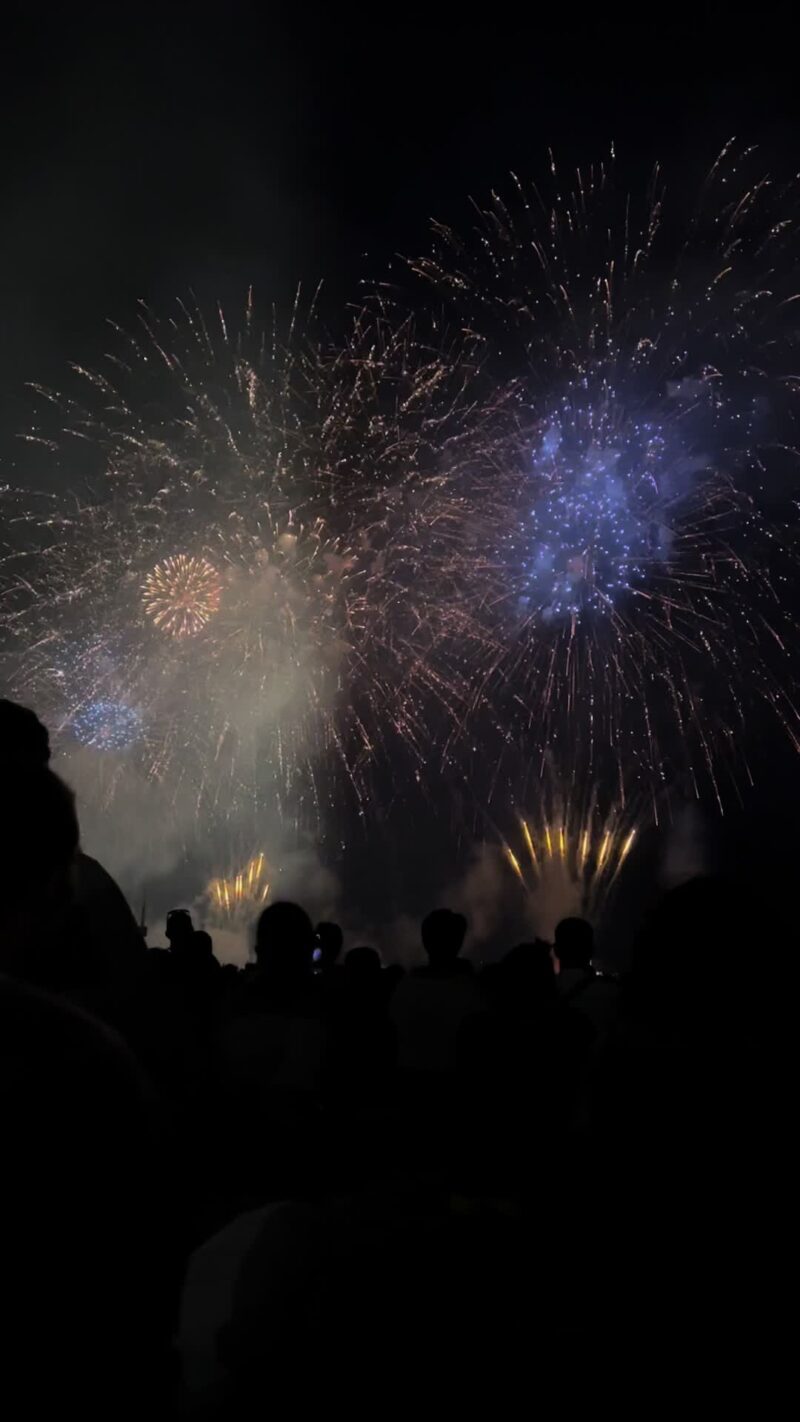 @jasonmoments Most expensive firework in WORLD.. ... - Fireworks.org ...